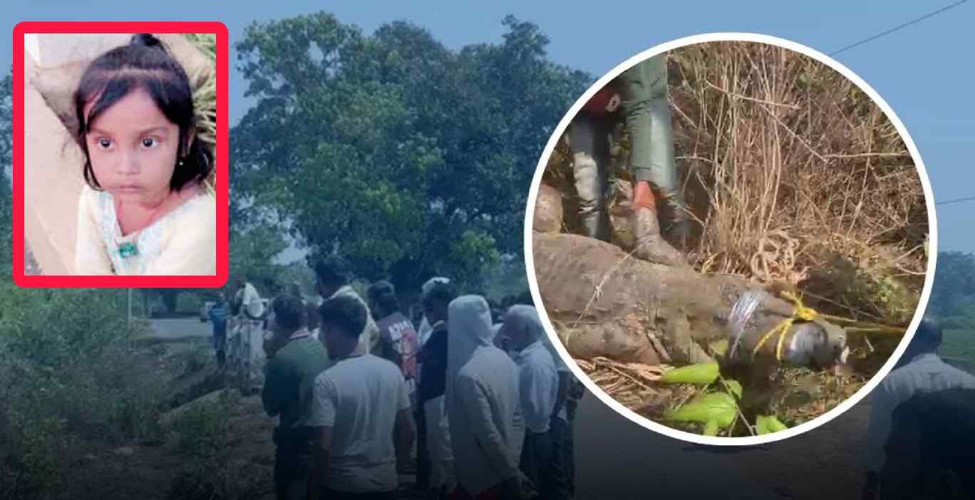 belgavkar — बेळगाव